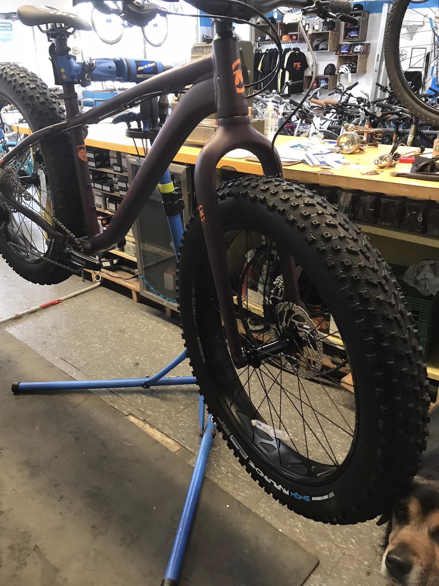 Basic Tune-up – Heronhead Bikes